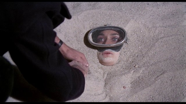 Alexandra Bastedo Nude Naked Pics And Sex Scenes At Mr Skin